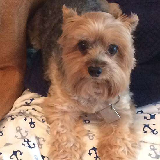 News | Bennett Contracting Inc.